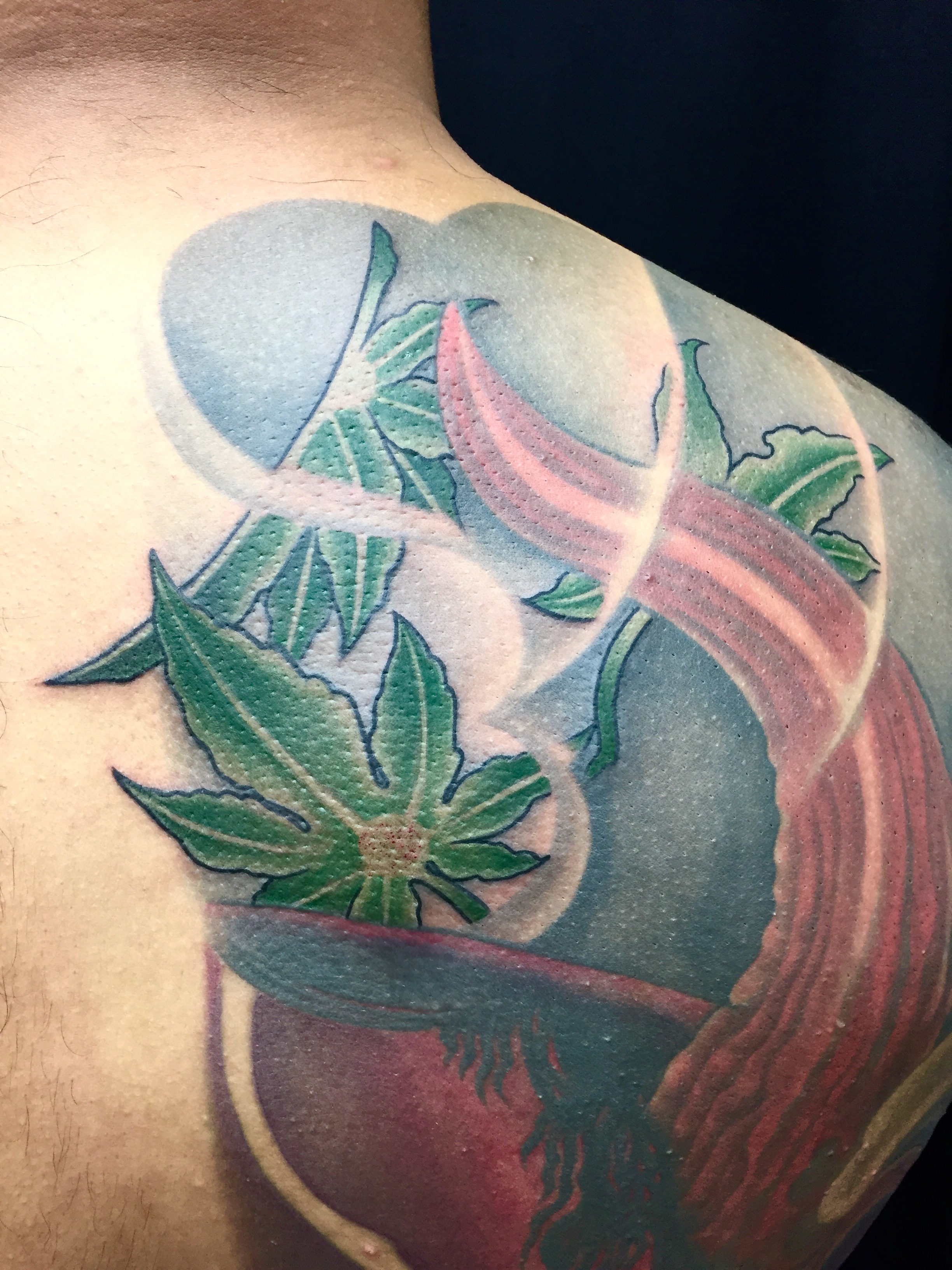 Work in progress – half back tattoo – Clare Keton Tattoo Artist